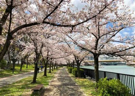 Best Parks To Visit In Osaka