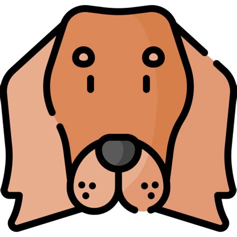 English Cocker Special Lineal Color Icon