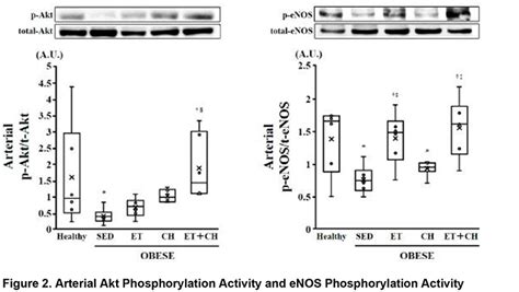 Combined Aerobic Exercise Training And Chlorella Intake Reduces Arterial Stiffness Through