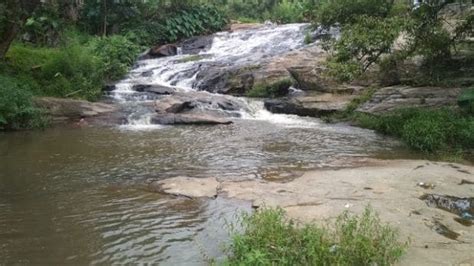 Marayur Munnar What To Expect Timings Tips Trip Ideas By