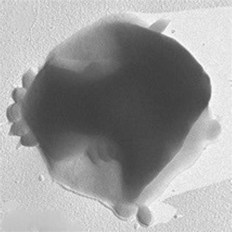 24 Acidophiles Examples Studiousguy