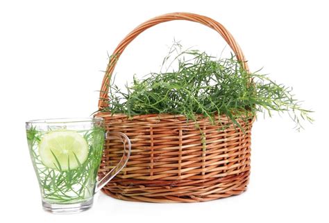 Premium Photo Basket Of Estragon Isolated On White