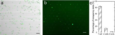 figure 4 from parallel cell array patterning and target cell lysis on