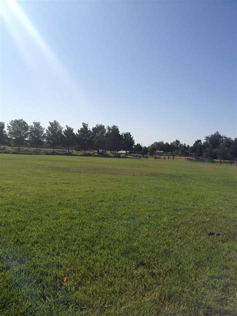 Laurel Football Field At Laura Kiek Blog