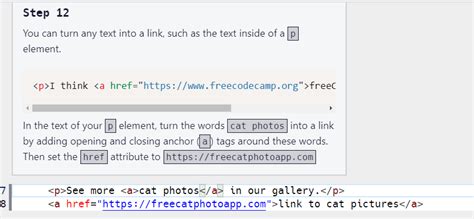 Learn HTML By Building A Cat Photo App Step HTML CSS The FreeCodeCamp Forum