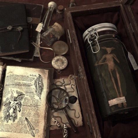 Rokki Newt Scamander