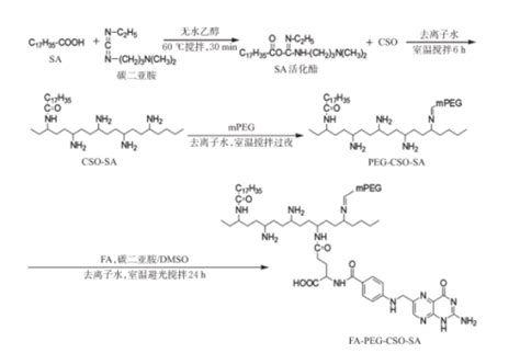 丙烯酰基 Peg 硬脂酸丙烯酰基 Peg 醛基丙烯酰基 Peg 叶酸 知乎