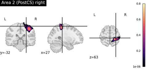 Assigning Coordinates To Brain Regions — Siibra Python Documentation