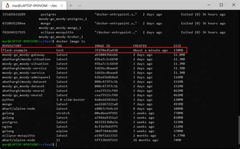 Progettare E Distribuire Applicazioni Su Raspberry Pi Con Docker I Dockerfile Antima