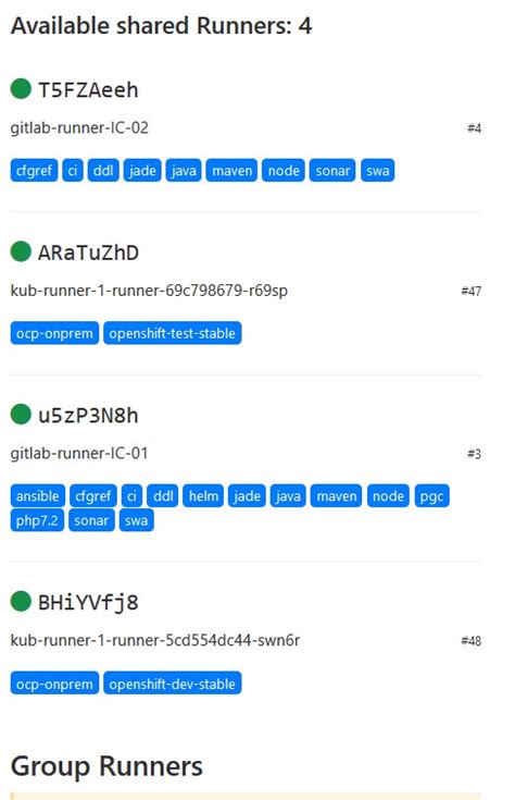 problem running my build job on self managed gitlab gitlab ci cd