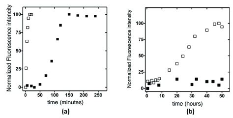 Kinetics Of Fibril Formation Followed By Tht Fluorescence Analysis At