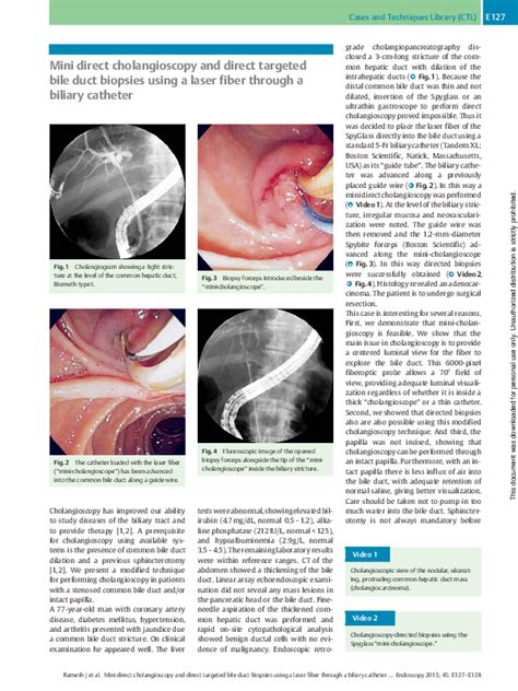Pdf Mini Direct Cholangioscopy And Direct Targeted Bile Duct Biopsies Using A Laser Fiber