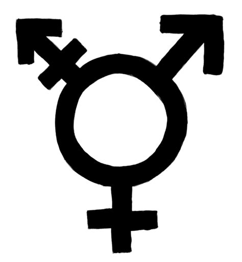 The Gender Divide In Hollywood Ka Leo O Kalani