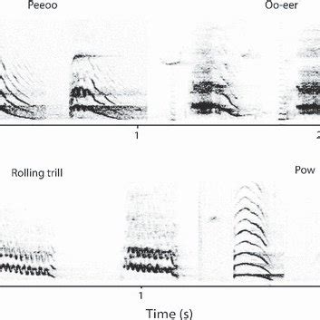 LDC Types Used In Playback Download Scientific Diagram