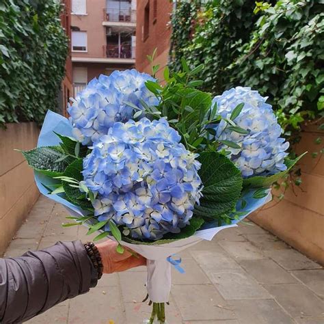 7 Tipos De Arreglos Florales Para Distintas Ocasiones