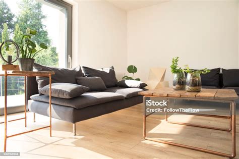 세련 된 스 칸디 나 비아 인테리어 디자인 소파 나무로 되는 테이블 및 식물 밝고 맑은 갈색 나무 마루와 방입니다 0명에 대한 스톡 사진 및 기타 이미지 Istock