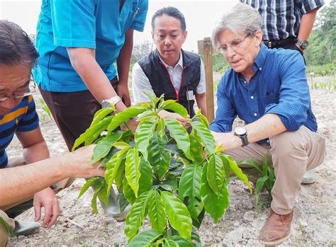 Tim Schilling Named As 2020 Sca Sustainability Champion Tea And Coffee Trade Journal