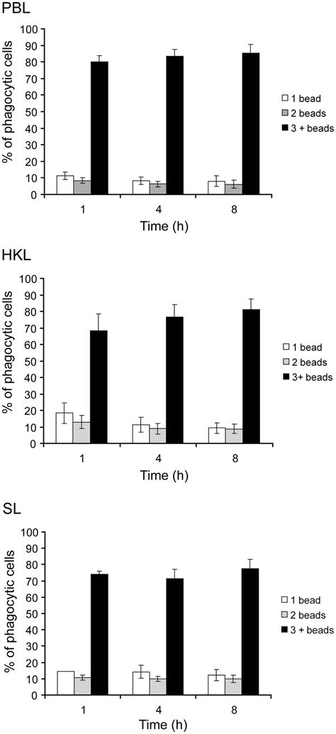 Phagocytic Cells Ingest Beads Rapidly Proportions Of Phagocytic Cells