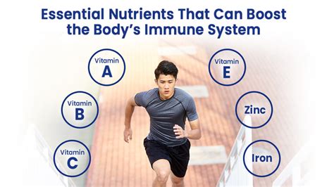 Essential Nutrients That Can Boost The Bodys Immune System Sv More