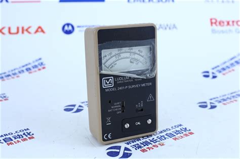 Ludlum 2401 P Abb 瑞士 深圳长欣自动化设备有限公司
