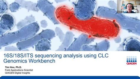 Qiagen Clc Genomics