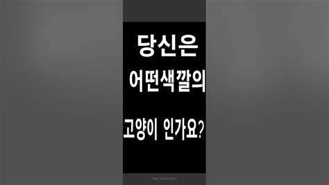 당신의 고양이를 고르고 댓글로 알려주세요 Youtube