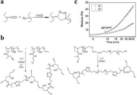 Click Hydrogel Preparation Via The Cu Aac Reaction A Schematic Download Scientific Diagram