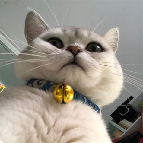 Xiang Li Key Laboratory Of Opto Electronic Information Processing Chinese Academy Of Sciences