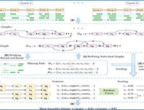 Stringtie Improved Reconstruction Of A Transcriptome From Rna Seq