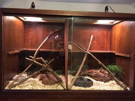 Python Passion Photo