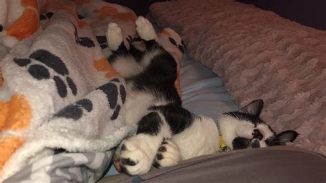 Body Positive Sex Positive Babesia C Tumblr Blog Tumlook