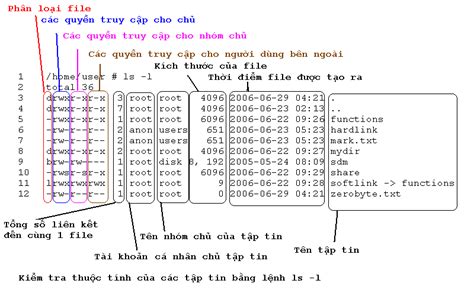 Các Lược Giảng Chuyên Sâu Về Sử Dụng Văn Lệnh Bash Trong Linuxbài 1a