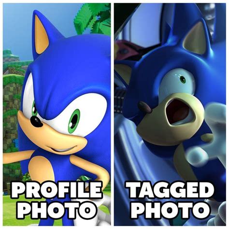 184 Best Sonic Memes Images On Pinterest Hedgehogs Hedgehog And