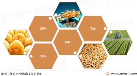 2023年全球微生态制剂行业发展潜力巨大，吸引众多企业布局 图 财富号东方财富网