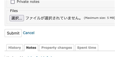 Defect 38448 The Margin Below The Submit Button On The Issue Edit