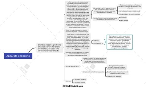 Apparato Endocrino Mappa Concettuale Apparato Endocrino Ghiandole
