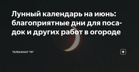 Лунный календарь на июнь благоприятные дни для посадок и других работ в огороде Телеканал 78