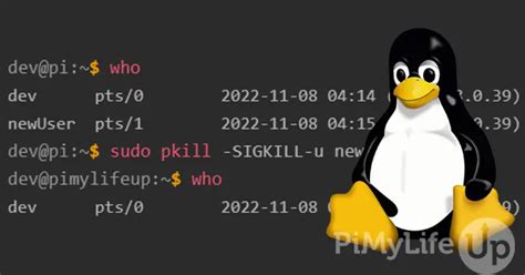 How To Logout A User On Linux Pishop Blog