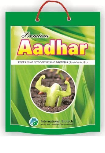 Azotobacter Sp At Best Price In Fazilka By International Biotech Id