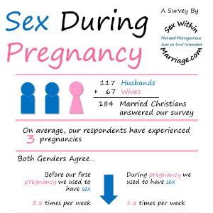 Sex During Pregnancy Infographic Uncovering Intimacy