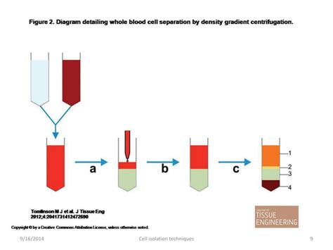 Cell Isolation Technique Pptx