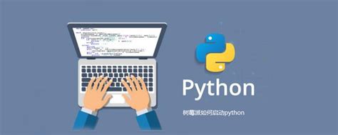 树莓派如何启动python 树莓派怎么运行python代码 csdn博客