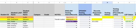 1 0 Esl Program Compliance Tracking Spreadsheet Etsy