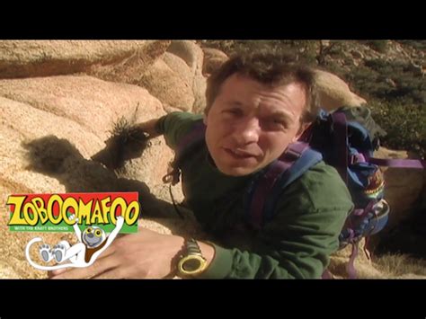 Zoboomafoo Season 2 Full Episodes 110 Youtube
