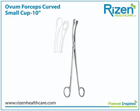 Stainless Steel Ovum Forceps Curved Small Cup Sizedimension 10 At Best Price In Pune
