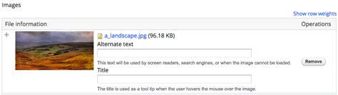 Media How To Modify Display Of Image Form Metadata After Upload On