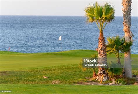 테네리페 섬 카나리아 스페인에 큰 골프 코스와 푸른 대서양에 상록 잔디 필드에 보기 골프에 대한 스톡 사진 및 기타 이미지 골프 테네리페 0명 Istock