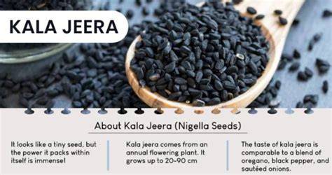 Kala Jeera And Its Powerful Health Benefits In 2023 Black Jeera Benefits