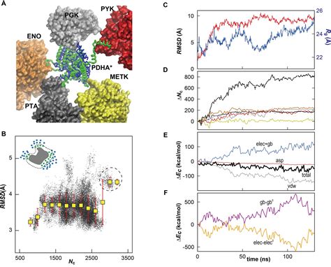 Figures And Data In Biomolecular Interactions Modulate Macromolecular Structure And Dynamics In