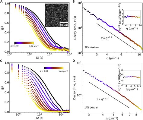 Ddm Analysis Shows That Large Dna Molecules Crowded By Dextran Polymers Download Scientific